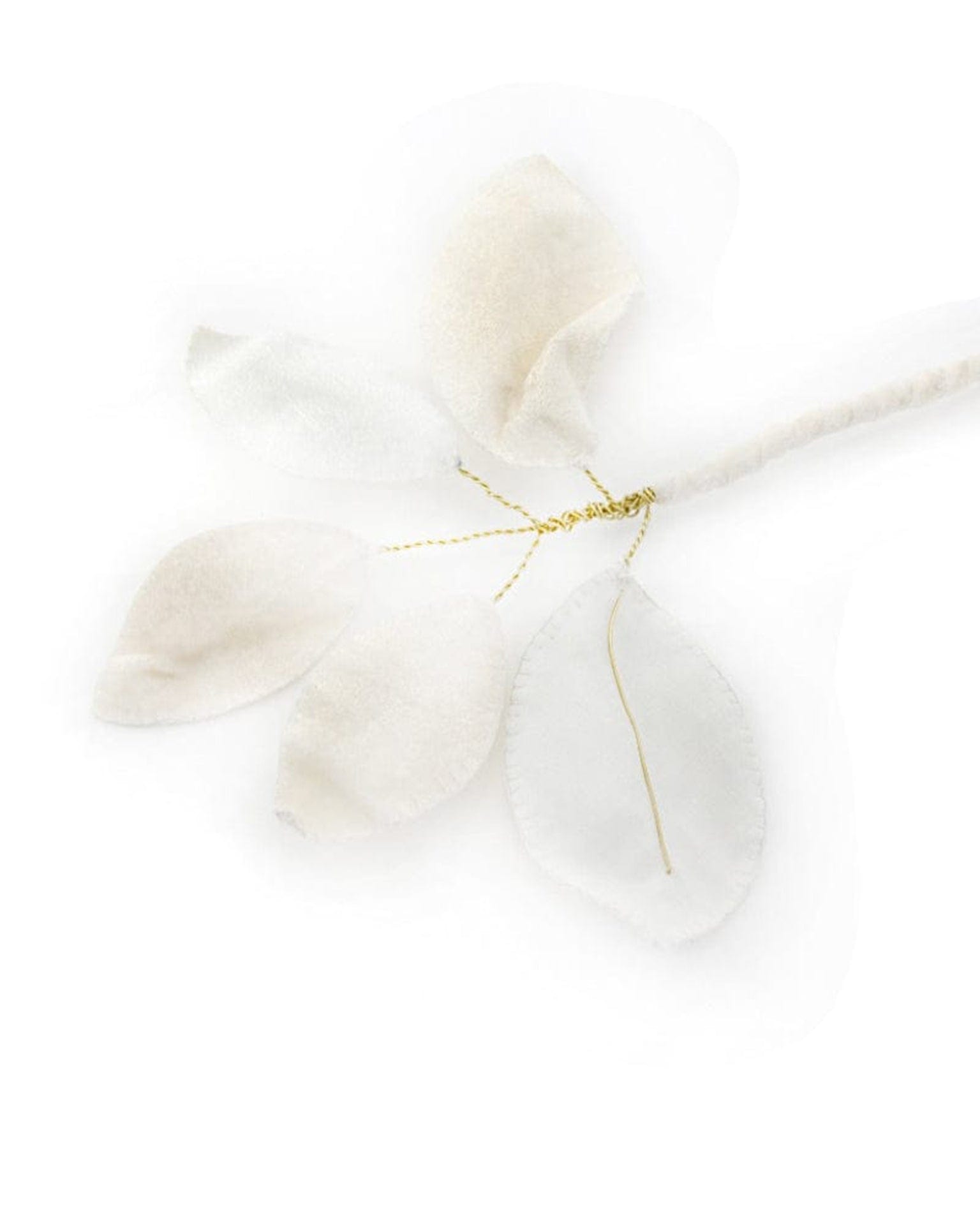Cody Foster Small Velvet Stem Pick In White Home Decor – Baske